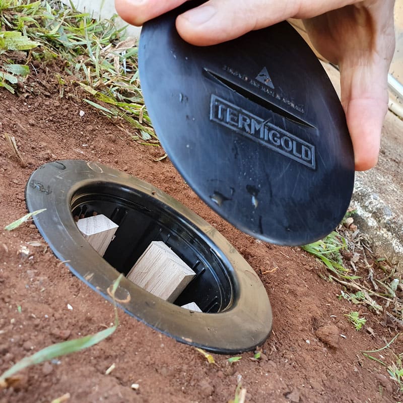 Installing a Termite Station