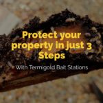 In-Ground Termite Bait Station Kit — 24 Pack + 1 kg Bait - Termigold