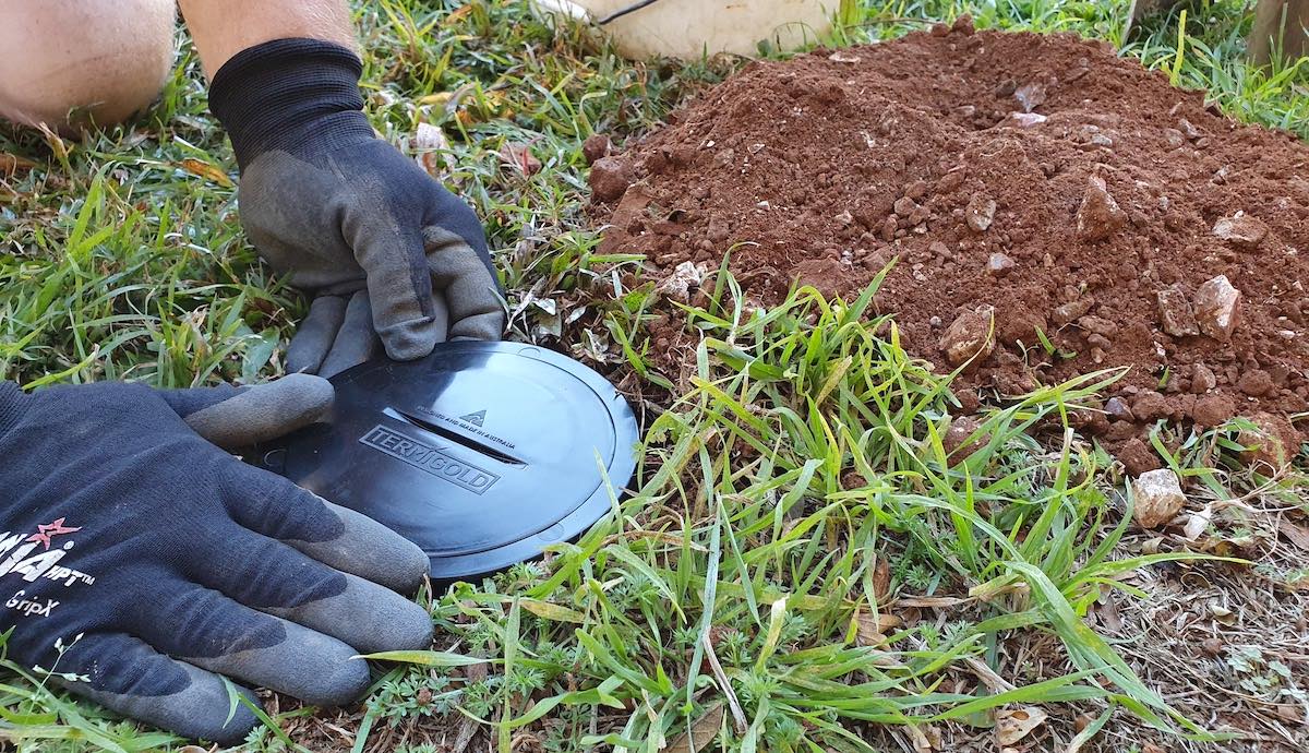 How Termite Preventions Systems Work