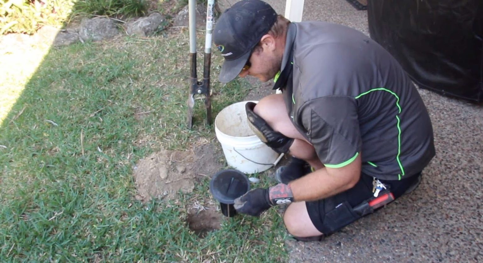 How Termite Preventions Systems Work