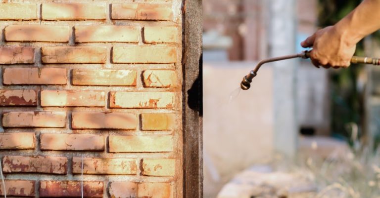 In-ground Baiting System vs Chemical Termite Barrier: What’s the