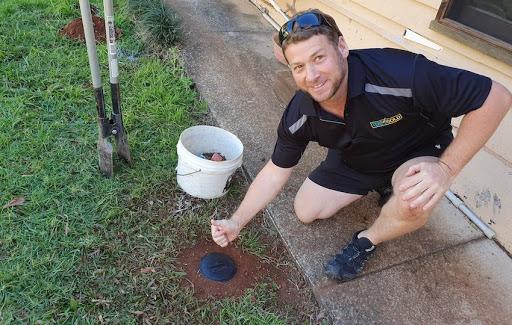 Termite Treatment Pimpama - Termigold
